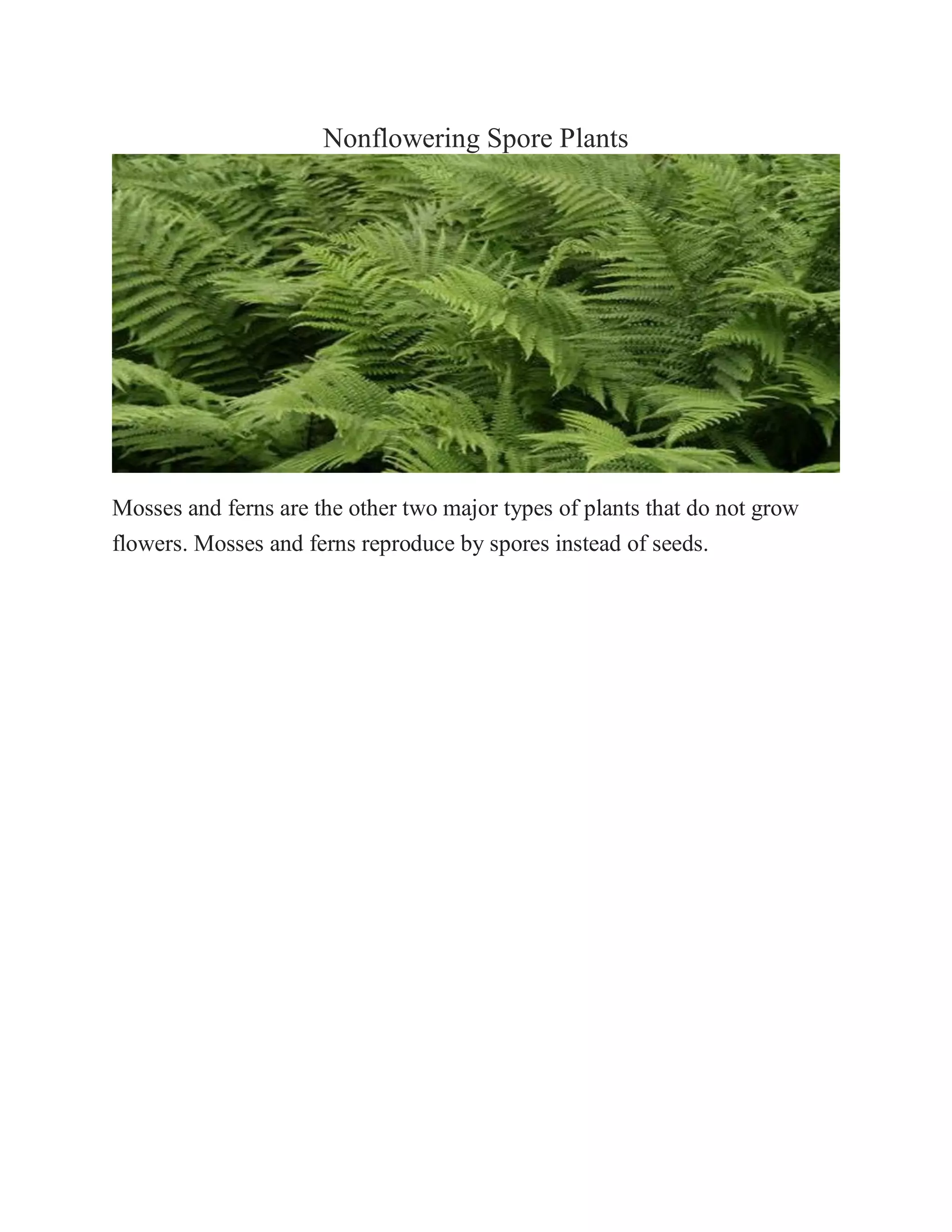 Difference between flowering & Non Flowering Plants | PDF