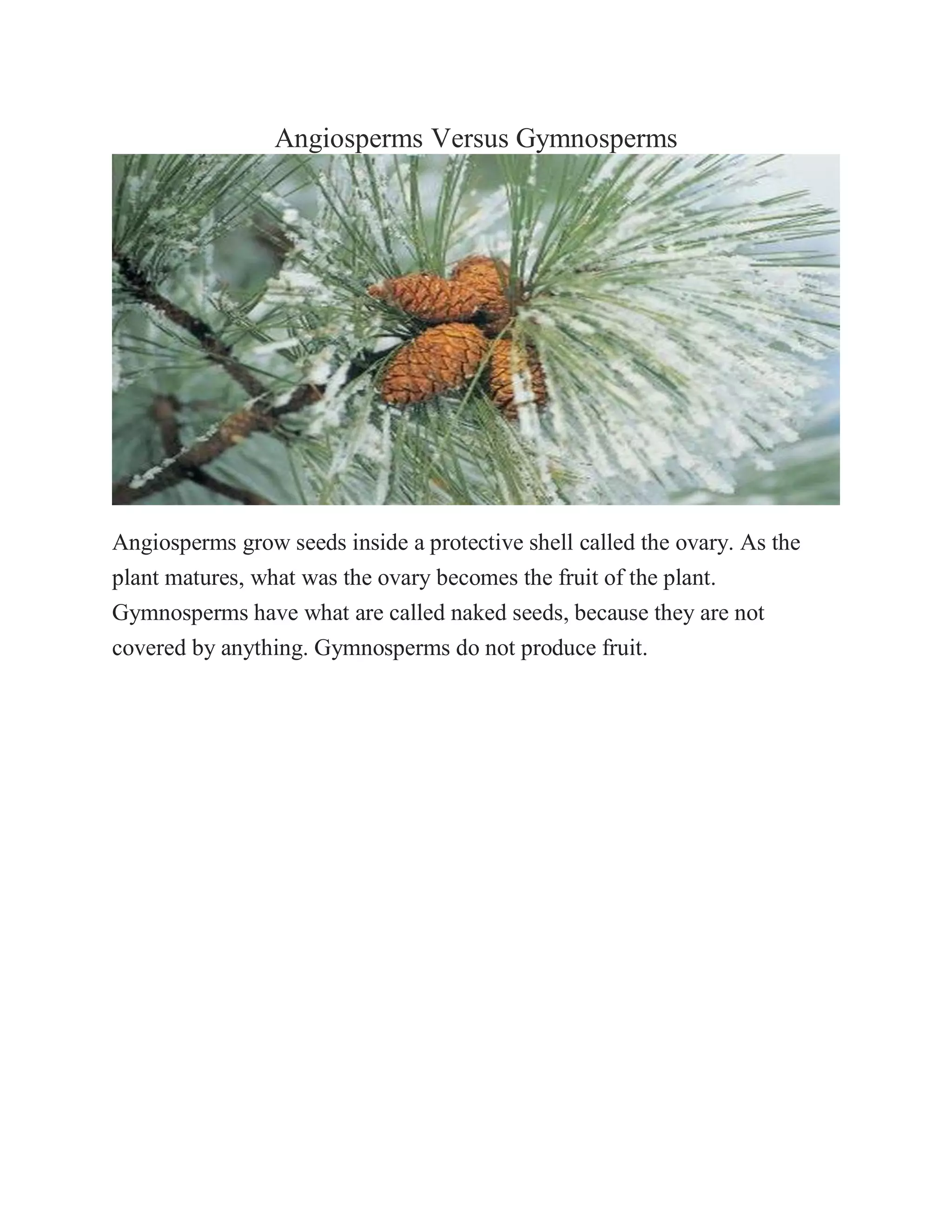 Difference between flowering & Non Flowering Plants | PDF