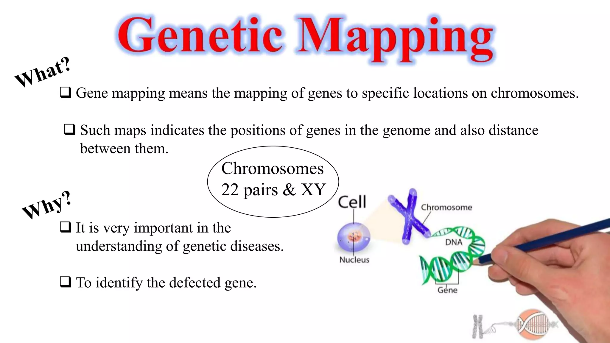 Difference between genetic linkage and physical map | PPTX