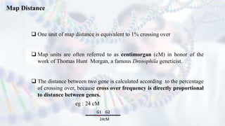 Difference between genetic linkage and physical map | PPTX