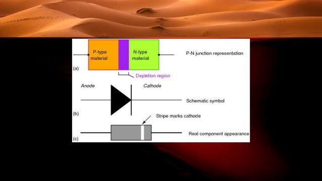 Difference between half wave and full wave rectifier | PPTX | Physics | Science
