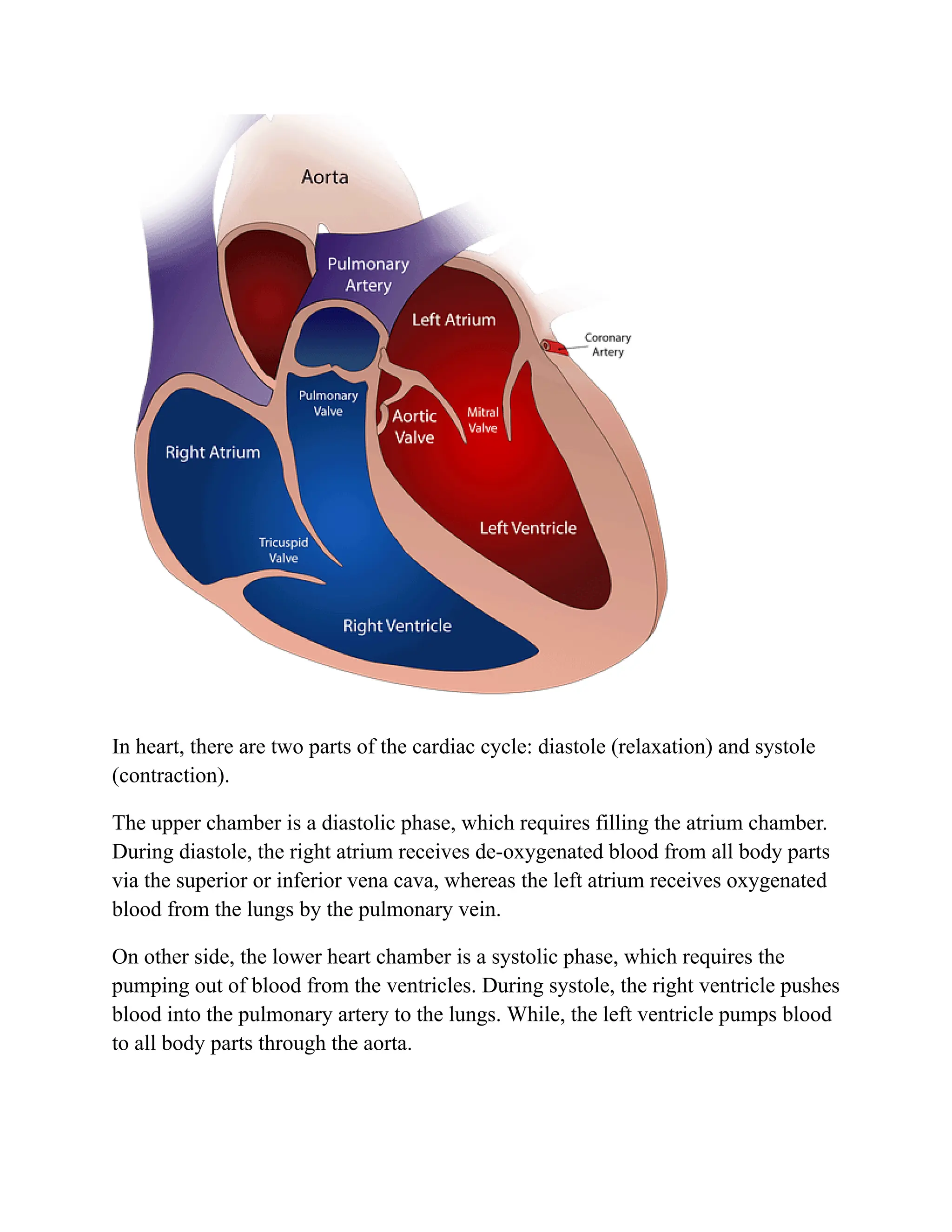 What is the difference between heart attack and heart failure? | PDF