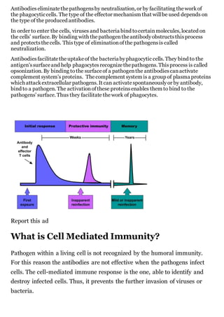 Difference between humoral and cell mediated immunity Dr. ihsan edan ...