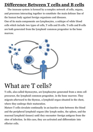 Difference between humoral and cell mediated immunity Dr. ihsan edan ...
