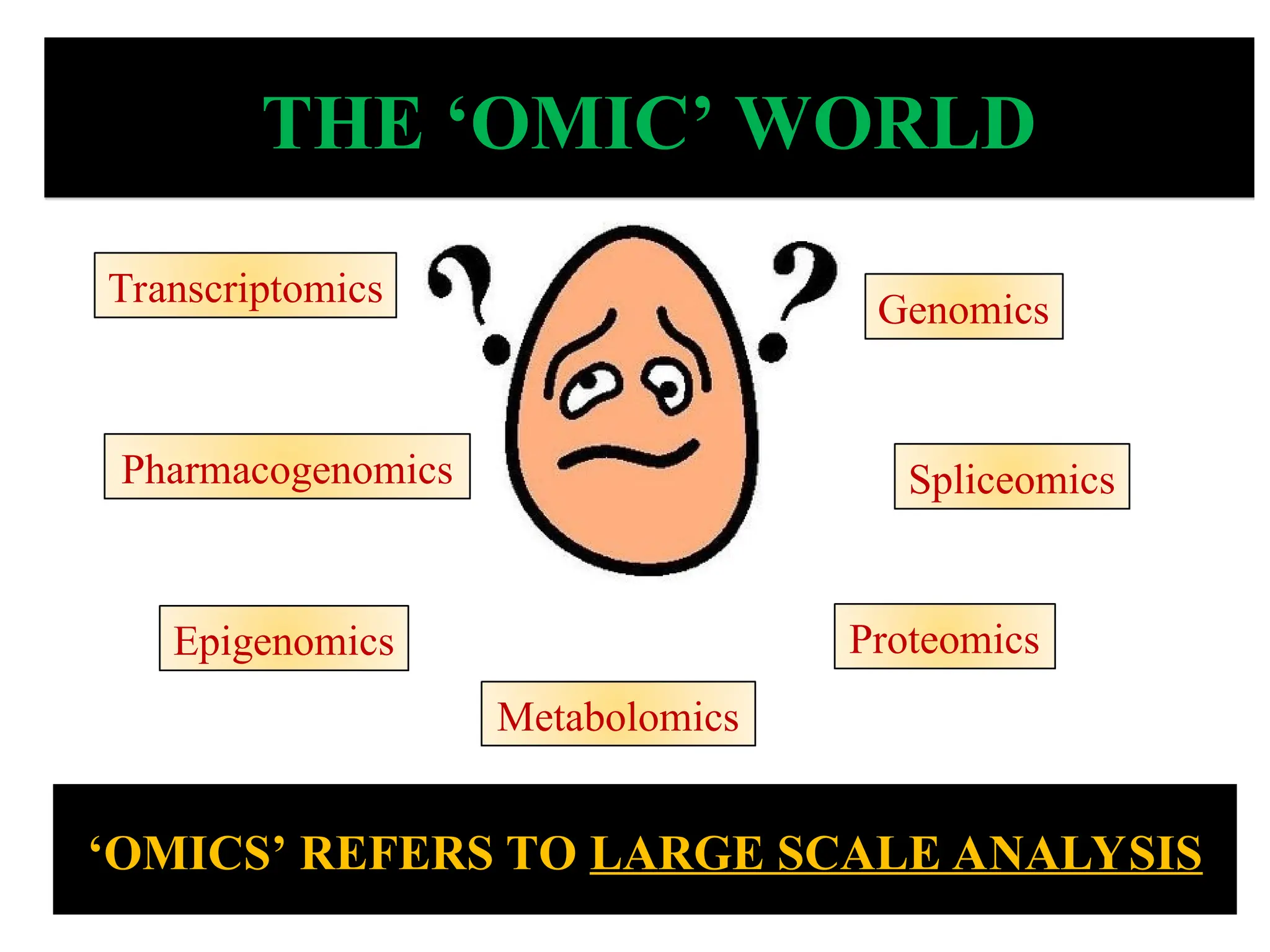 difference between metabolomic&proteomics.ppt