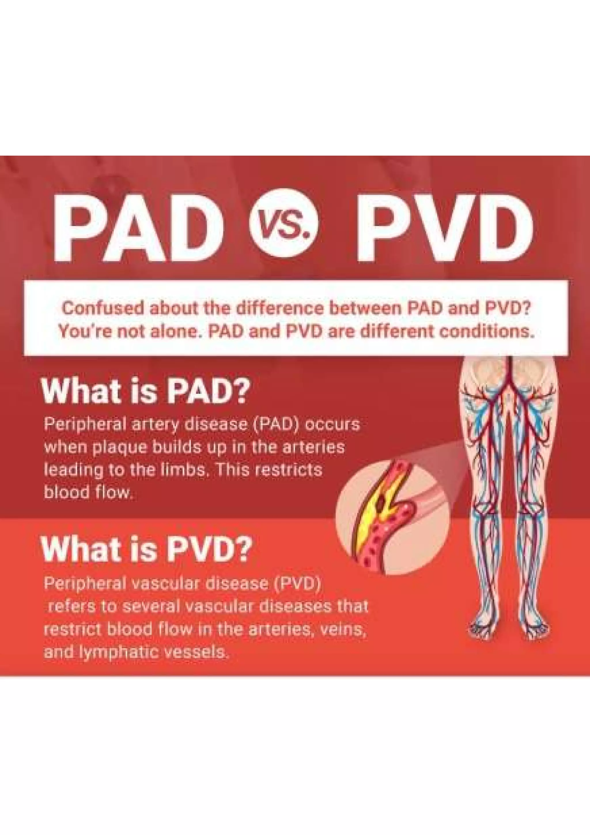 PAD vs PVD: What are the Differences? | USA Vascular Centers | PDF