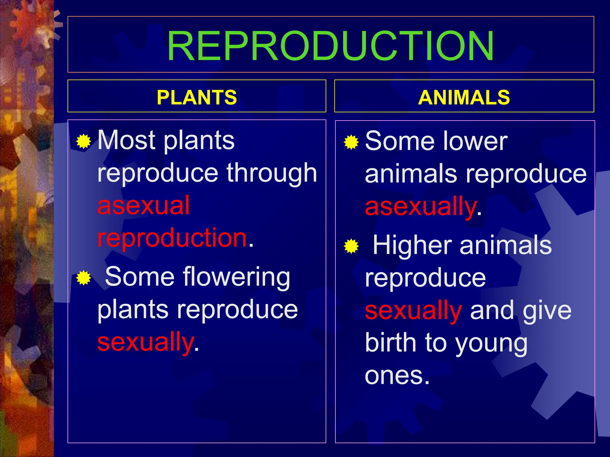 DIFFERENCE BETWEEN PLANTS AND ANIMALS.pptx