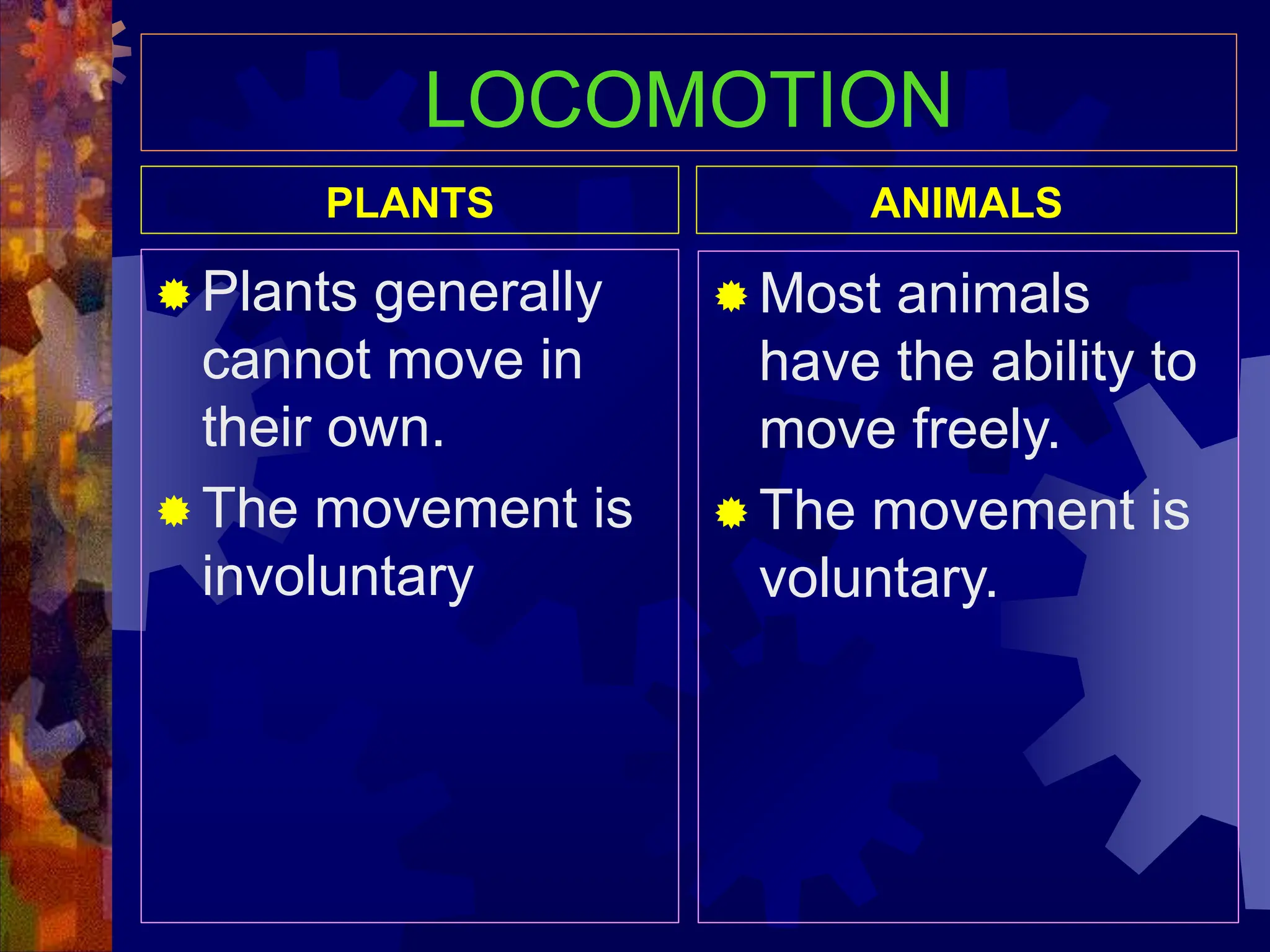 DIFFERENCE BETWEEN PLANTS AND ANIMALS.pptx