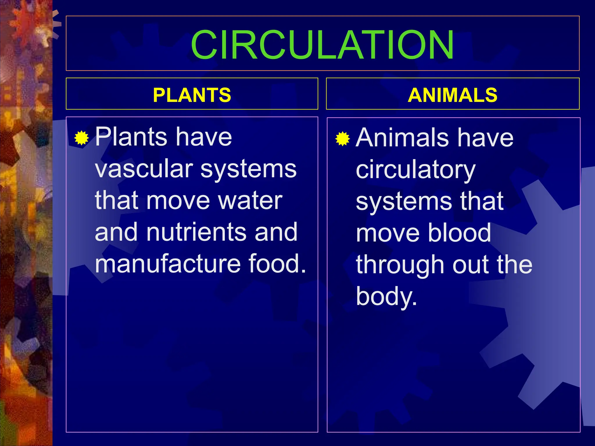 DIFFERENCE BETWEEN PLANTS AND ANIMALS.pptx