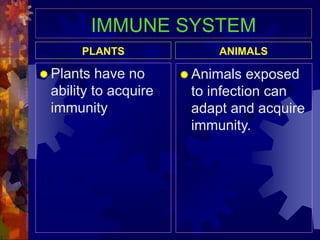 DIFFERENCE BETWEEN PLANTS AND ANIMALS.pptx