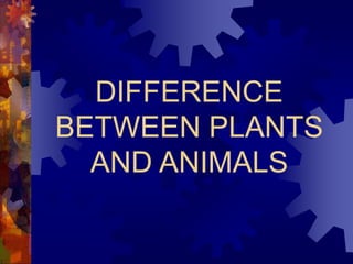 DIFFERENCE BETWEEN PLANTS AND ANIMALS.pptx