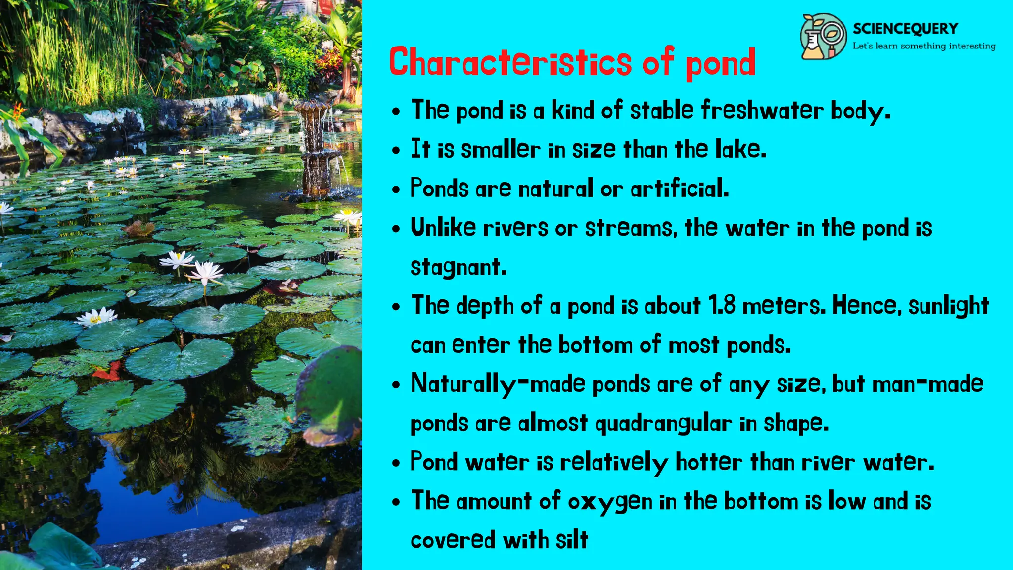 Difference between pond lake and river.pdf