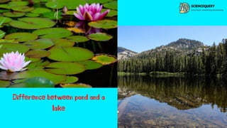 Difference between pond lake and river.pdf