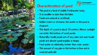 Difference between pond lake and river.pdf