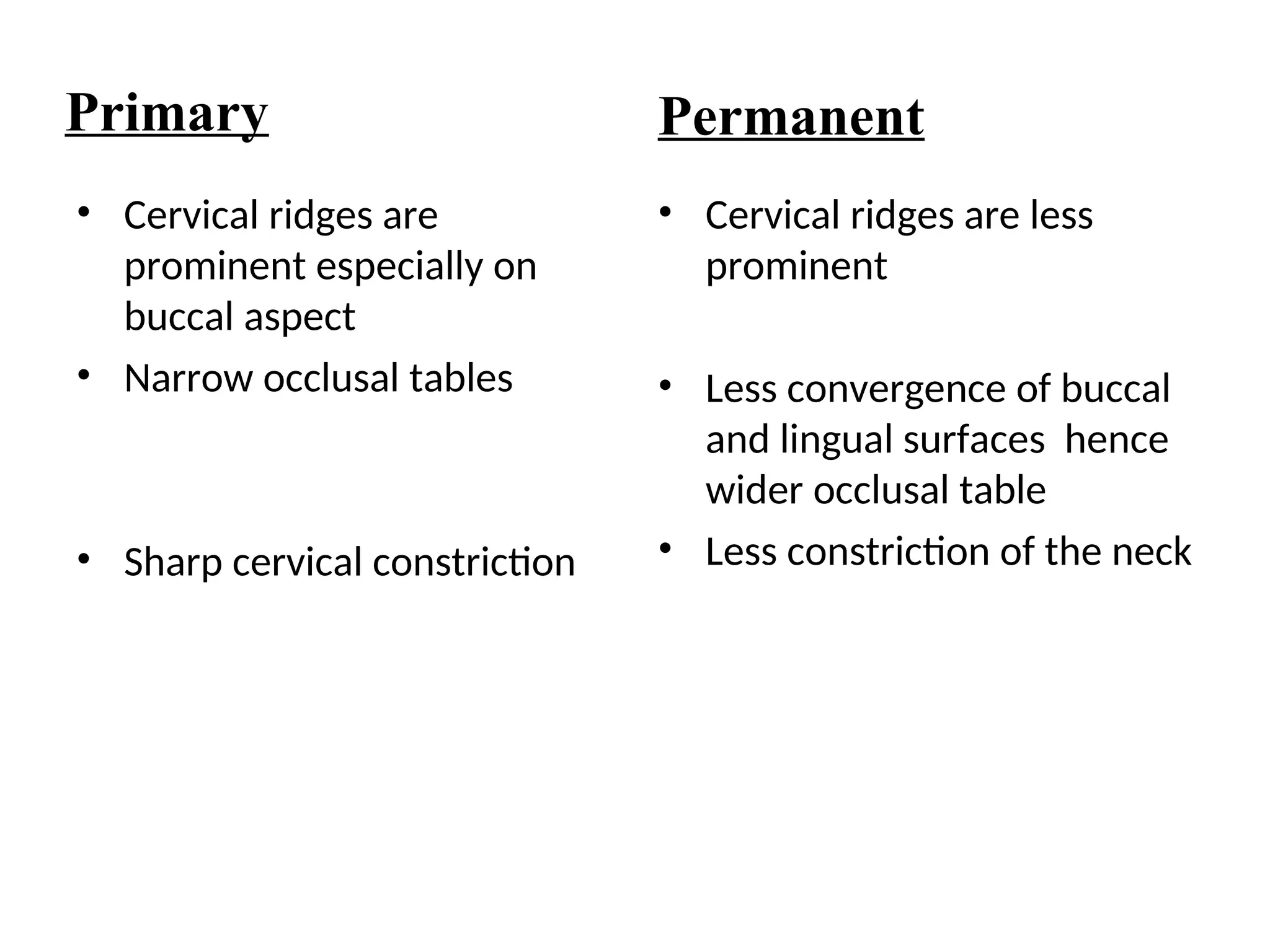 Difference between primary and permanent.ppt