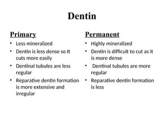 Difference between primary and permanent.ppt