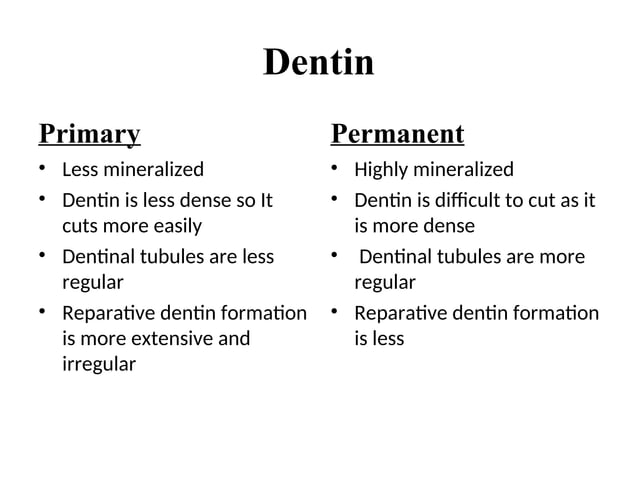 Difference between primary and permanent.ppt