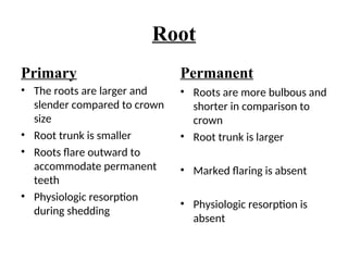 Difference between primary and permanent.ppt