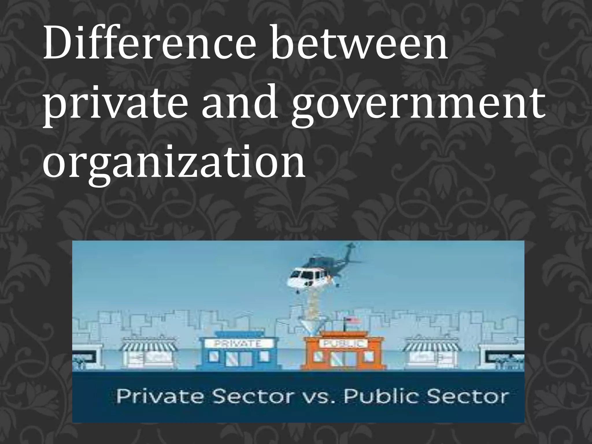 Difference between private and govt organizations | PPTX