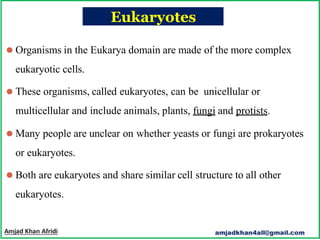 Difference between prokaryotic and eukaryotic cell.pptx