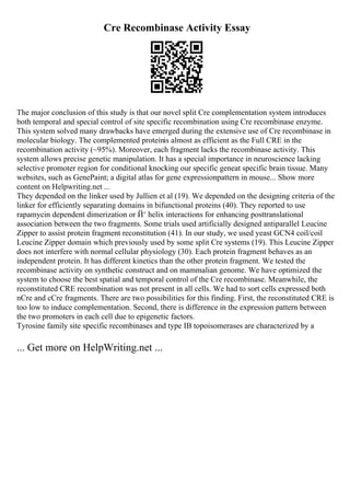 Difference Between Report Writing And Essay Writing | PDF