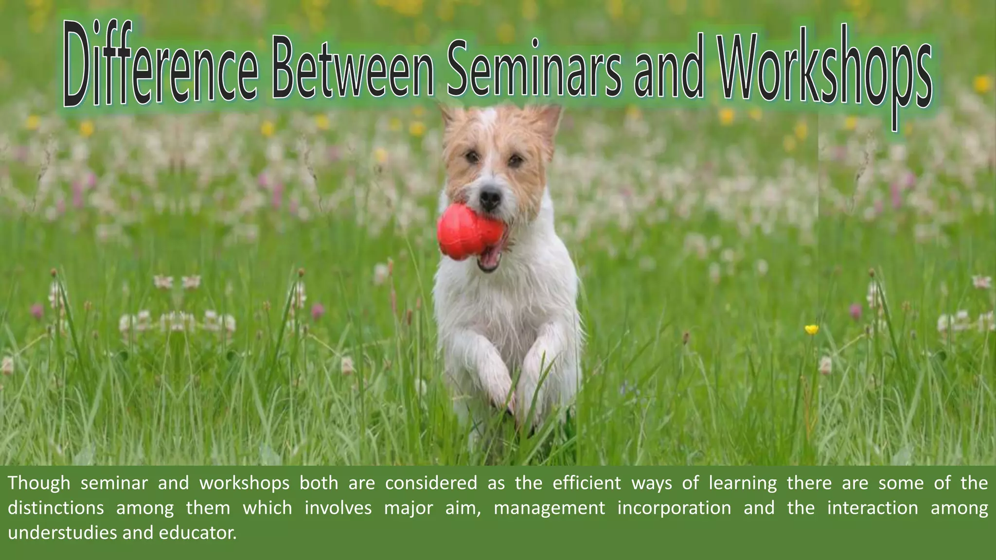 Difference between seminars and workshops | PPTX