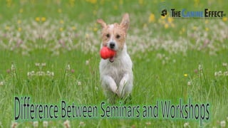 Difference between seminars and workshops | PPTX
