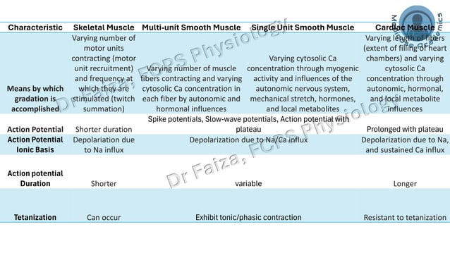 Difference Between Skeletal Smooth and Cardiac Muscles | PDF | Biological Sciences | Science
