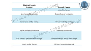 Difference Between Skeletal Smooth and Cardiac Muscles | PDF