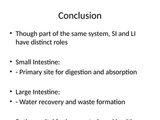 Difference_Between_Small_and_Large_Intestine (1).pptx