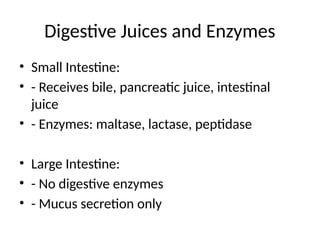 Difference_Between_Small_and_Large_Intestine (1).pptx