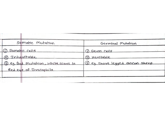 Difference Between Somatic Mutation And Germinal Mutation Pdf