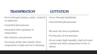 Difference between Transpiration and Guttation | PPT