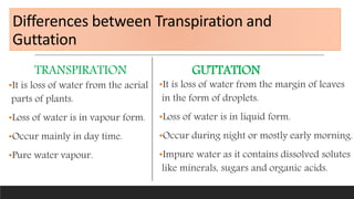 Difference between Transpiration and Guttation | PPT