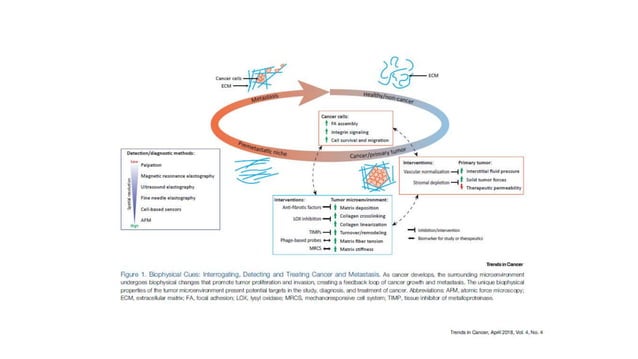 Difference beween self organization vs assembly | PPT