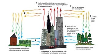 Difference of climatic conditions between urban and rural | PPTX
