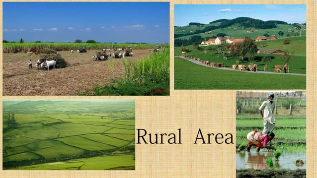 Difference of climatic conditions between urban and rural | PPTX ...