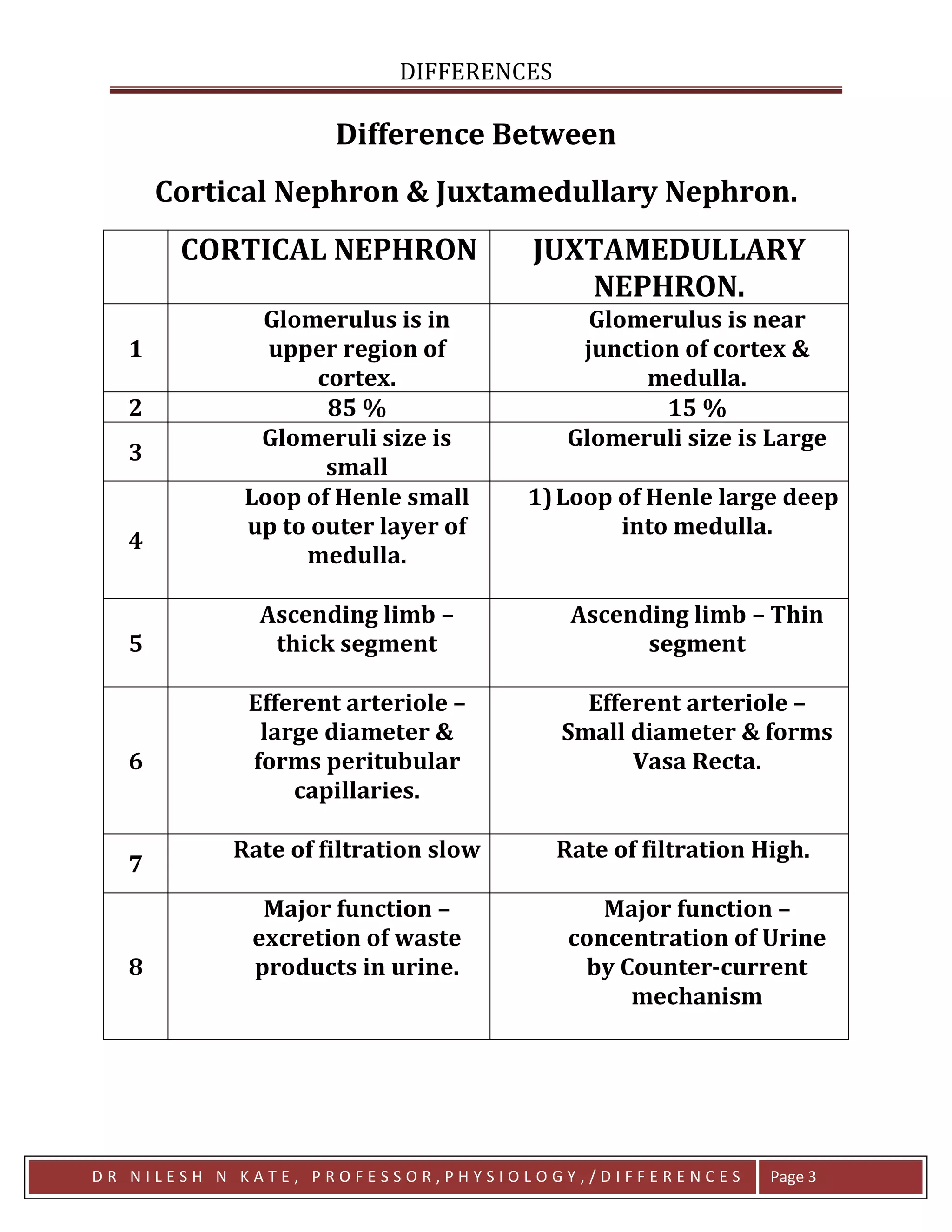 Differences cortical vs juxtamedullary nephron | PDF