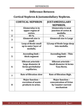Differences cortical vs juxtamedullary nephron | PDF
