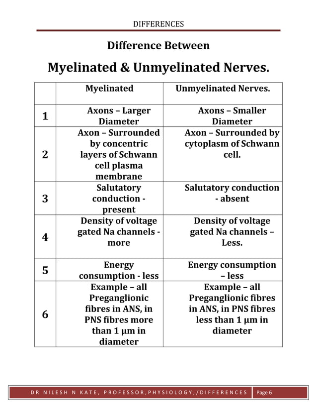 Differences - MYELINATED VS UNMYELINATED NERVES | PDF