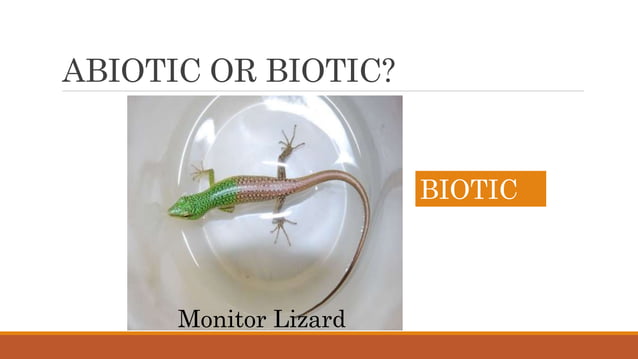 Differences abiotic and biotic.pptx | Geography | Science