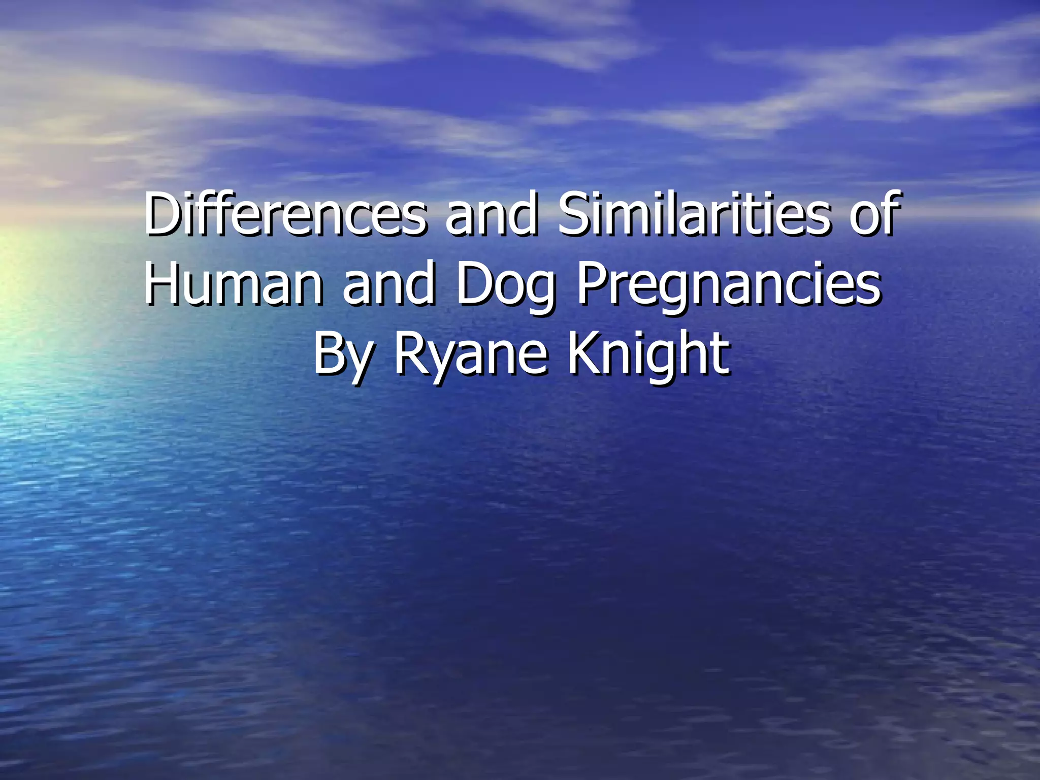 Differences And Similarities Of Human And Dog Pregnancies | PPT