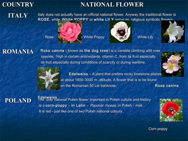Differences and similarities -Italy, Romania and Poland | PPT ...