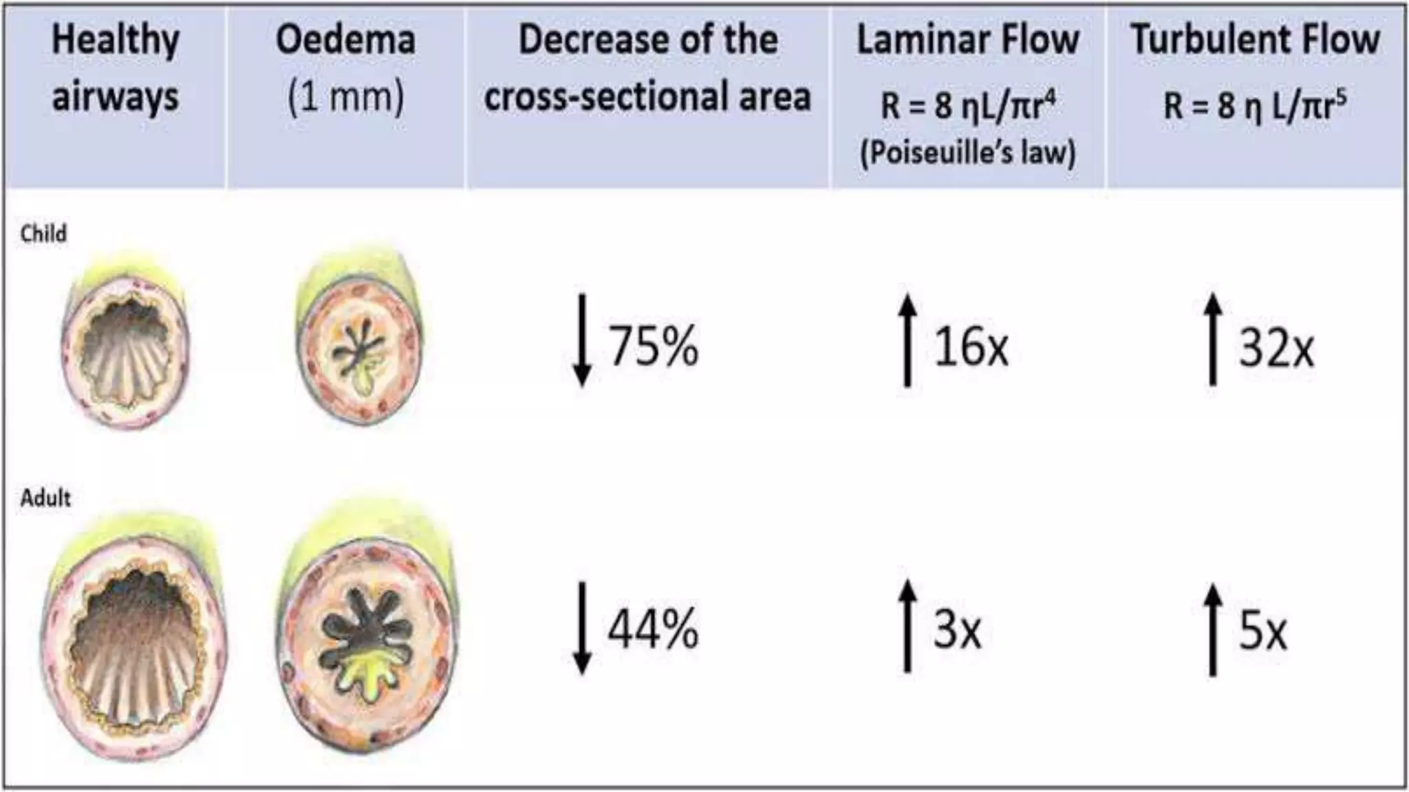 Differences b-w Adult & pediatric lungs.pptx