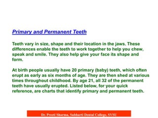 Difference between permanent and deciduous teeth.pdf