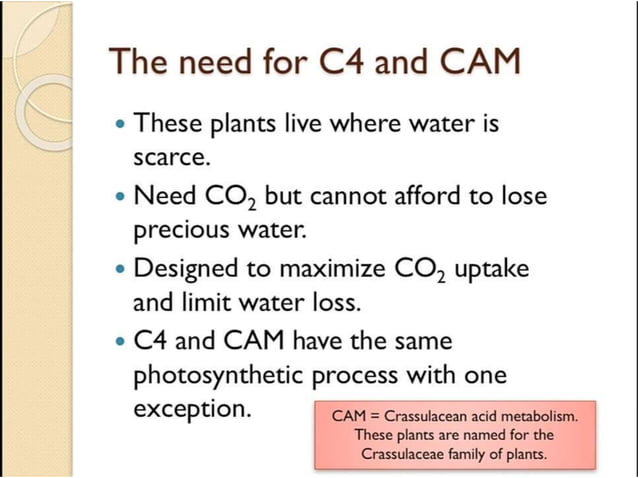 Differences Between C3, C4 and CAM Cycles by Salman Saeed | PPTX
