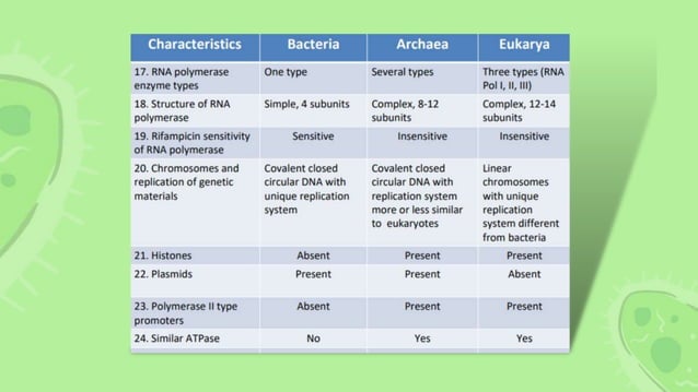 DIFFERENCES BETWEEN EUBACTERIA, ARCHAEBACTERIA AND EUKARYOTES.pptx ...