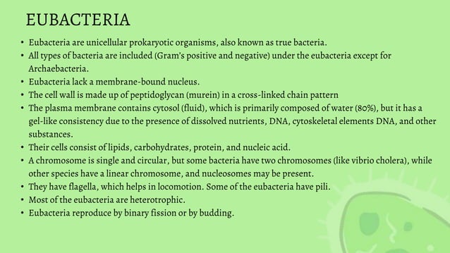 Differences Between Eubacteria Archaebacteria And Eukaryotespptx 6438
