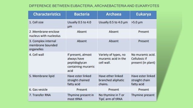 DIFFERENCES BETWEEN EUBACTERIA, ARCHAEBACTERIA AND EUKARYOTES.pptx ...