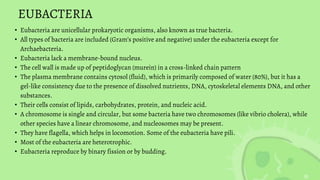 Eubacteria And Archaebacteria